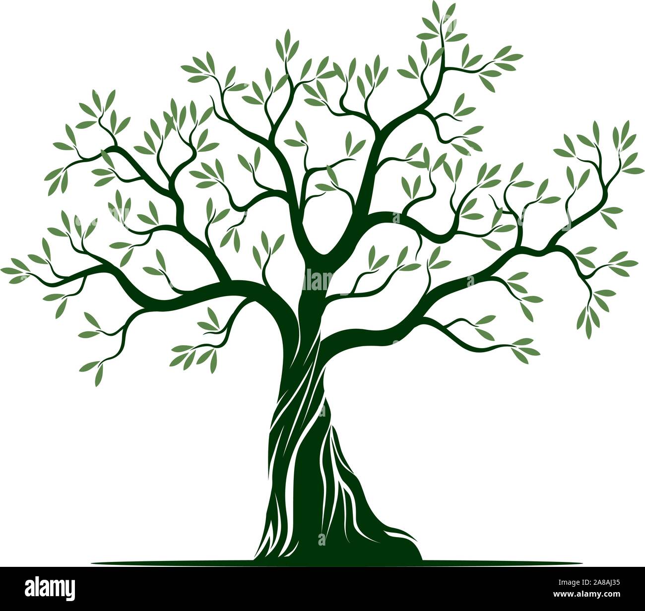 Green Isolated Olive Tree on white background. Vector Illustration and ...