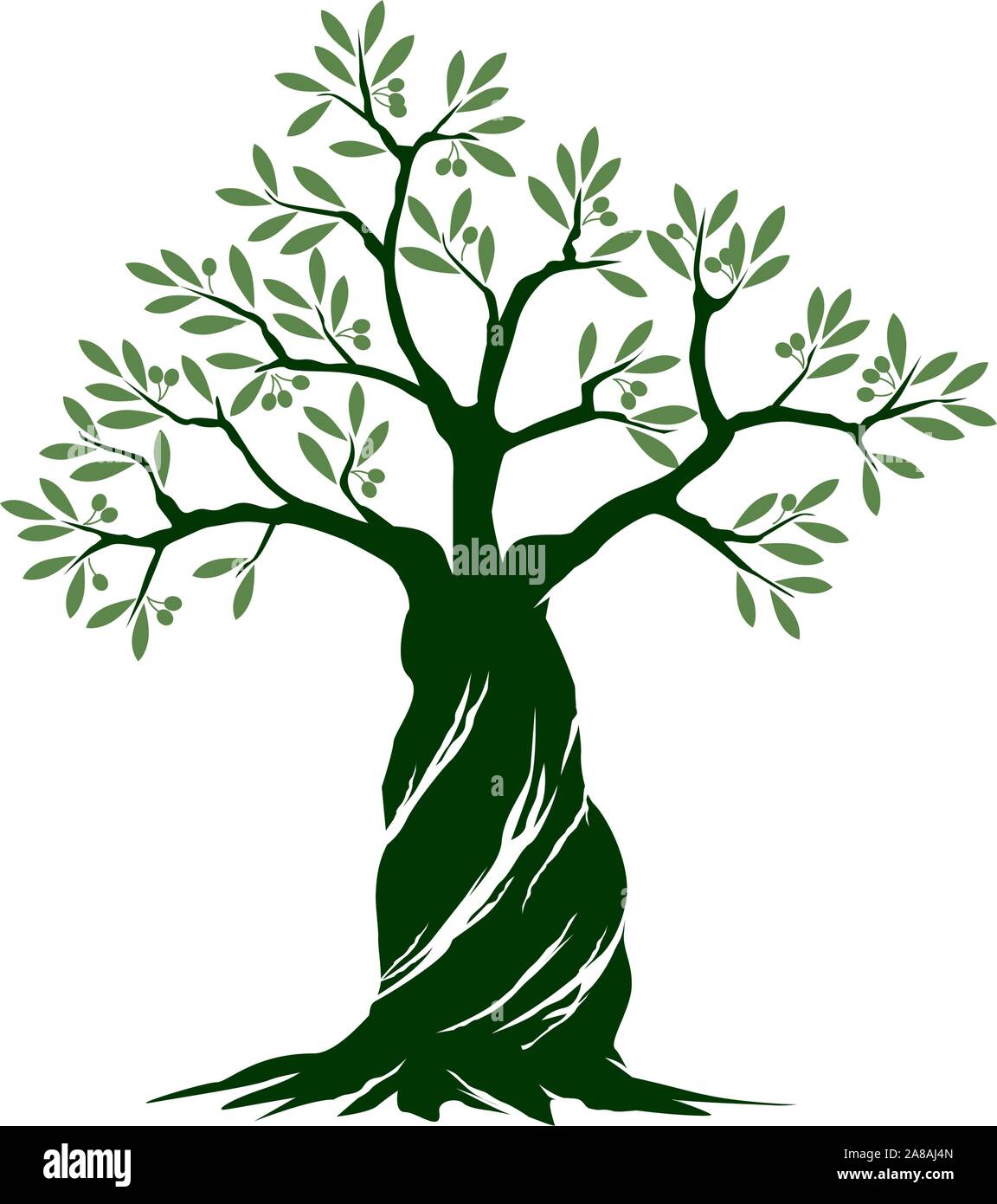 Green Isolated Olive Tree on white background. Vector Illustration and ...