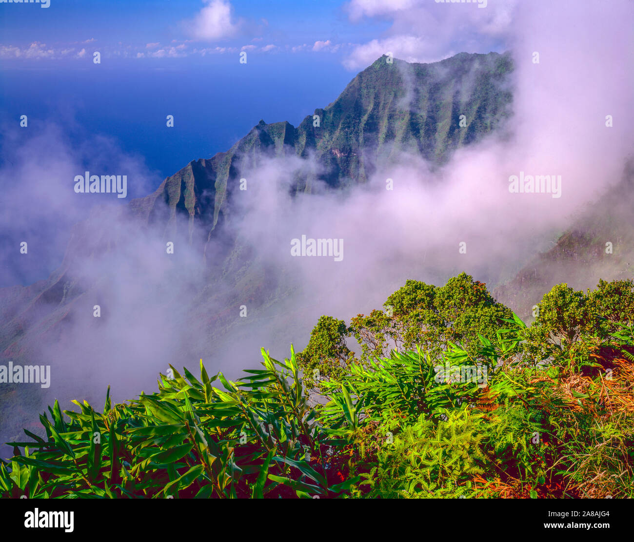 Koke’e state park and hawaii hi-res stock photography and images - Alamy