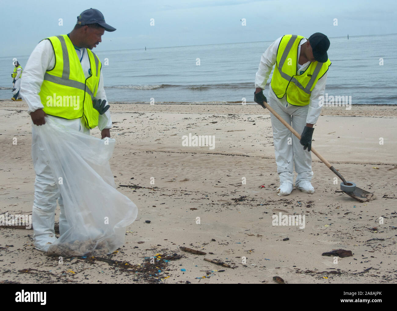 Oil spill cleanup workers remove tar patties from the beach after the ...