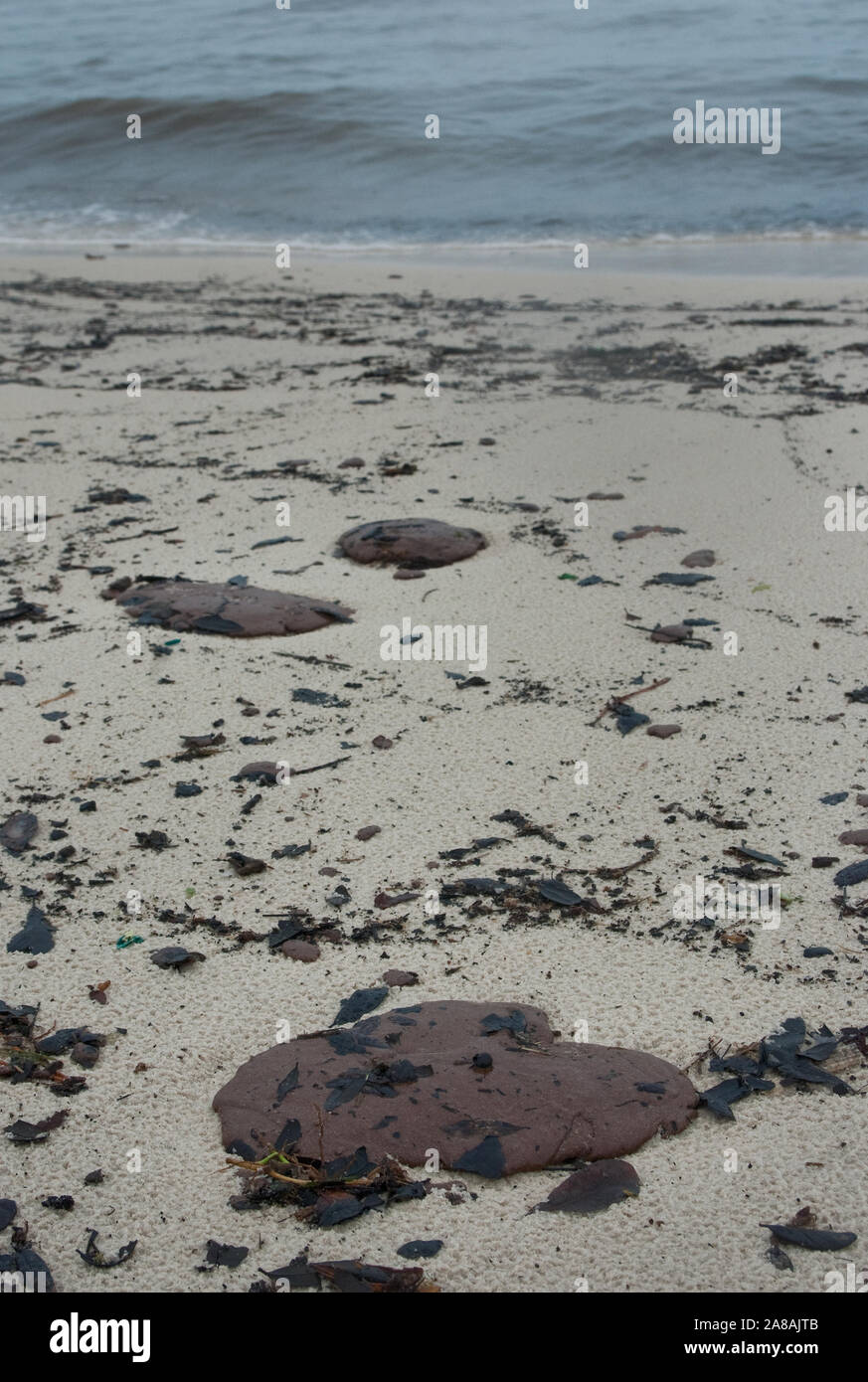 Oil spill tar balls hi-res stock photography and images - Alamy