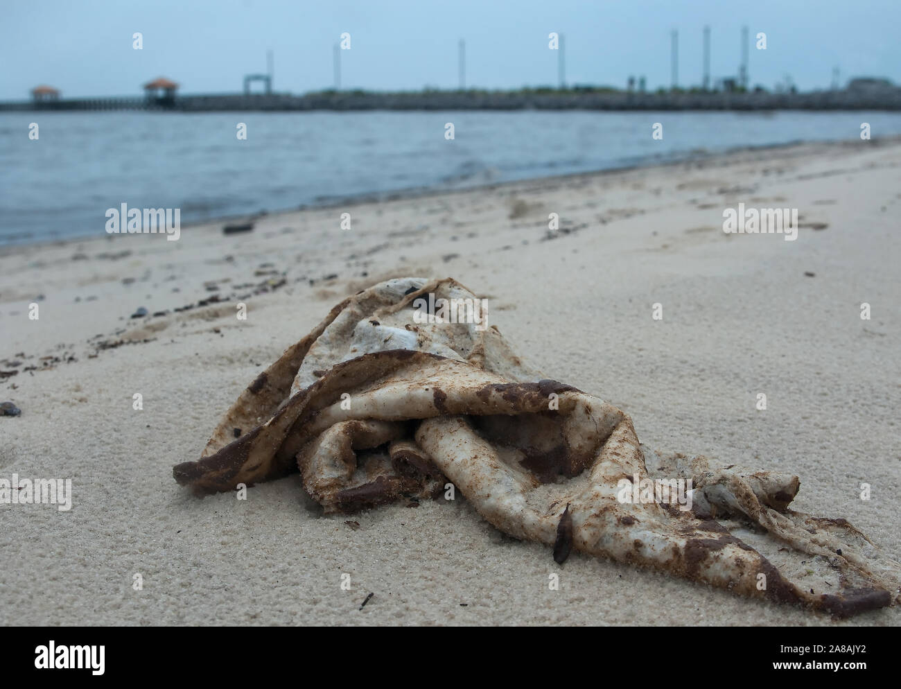 An oil-soaked cloth from the BP oil spill lies on the beach in Gulfport ...