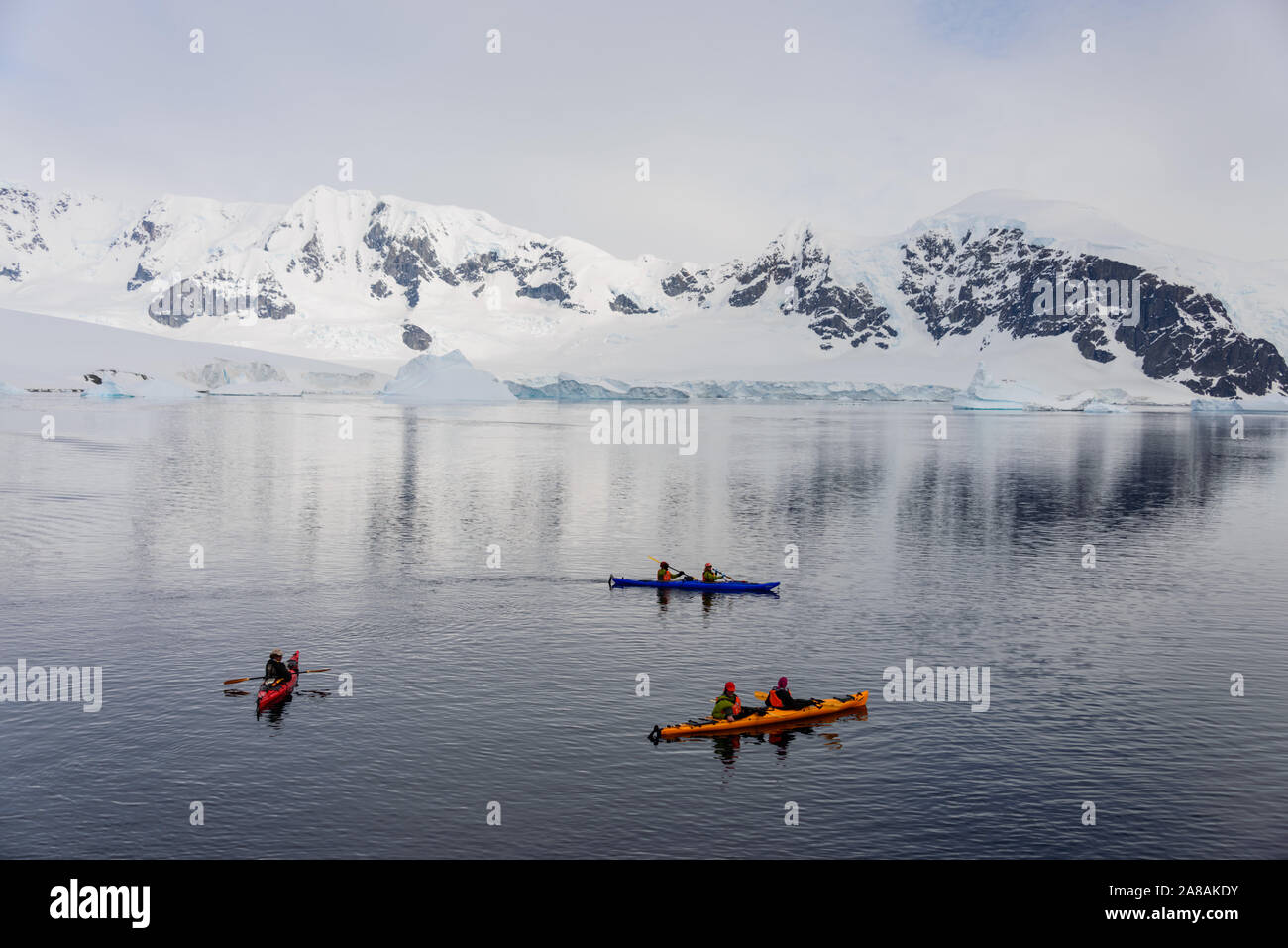 Kayaking in Antarctic sea Stock Photo - Alamy