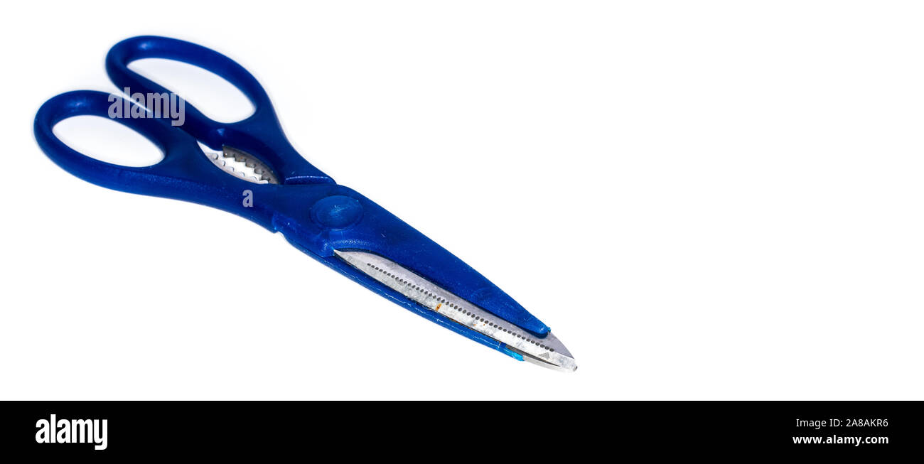 Blue handle stainless steel scissor isolated in white background Stock ...