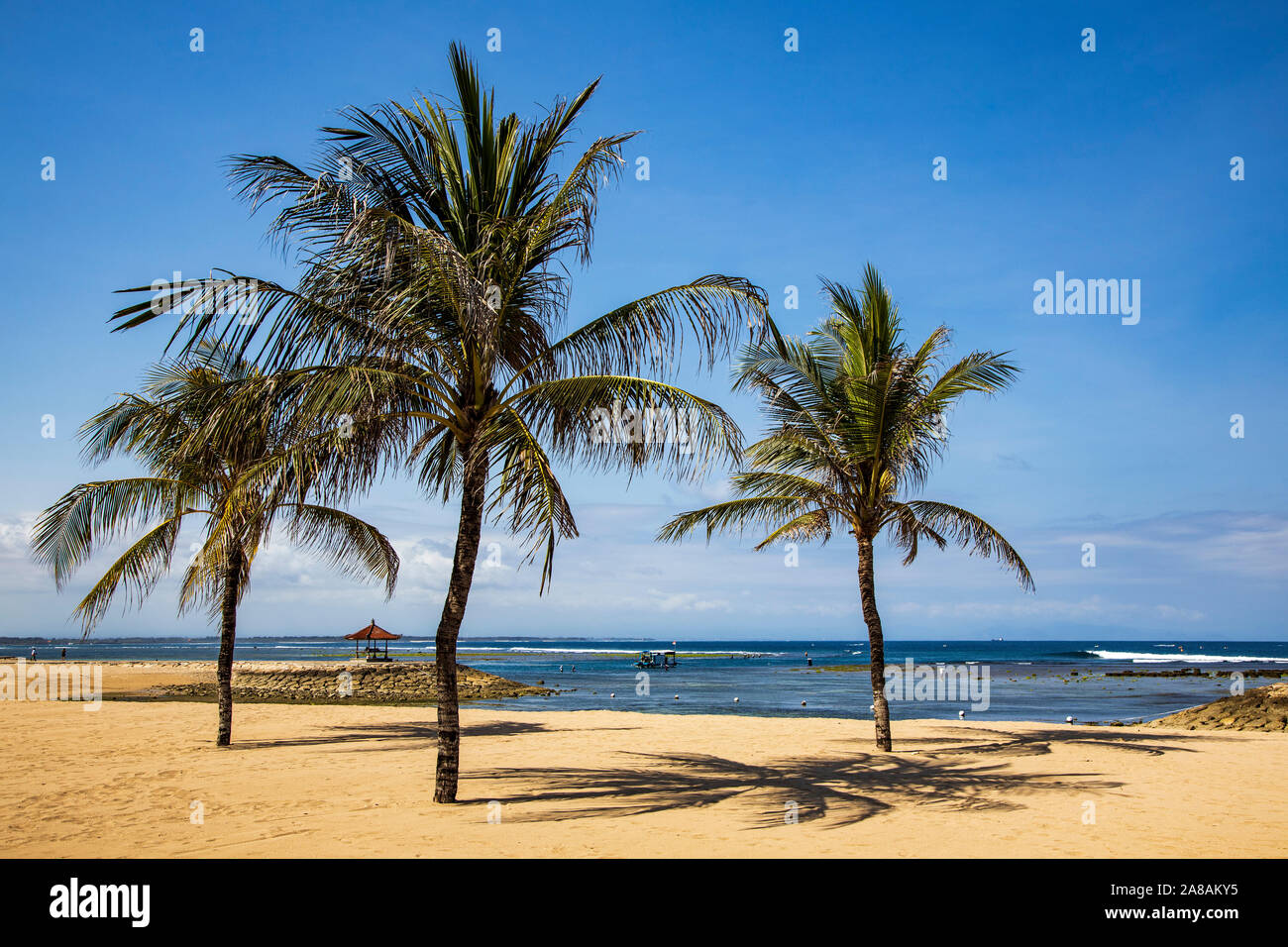 Three coconut palm trees on the beach of Nusa Dua, Bali, Indonesia ...