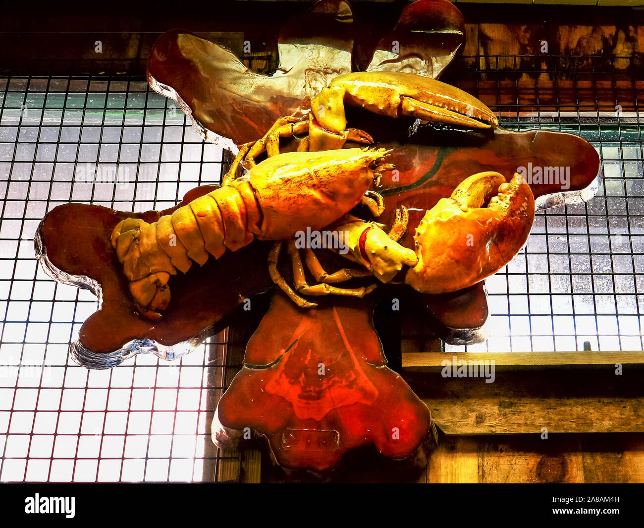 Trophy wall hi-res stock photography and images - Alamy