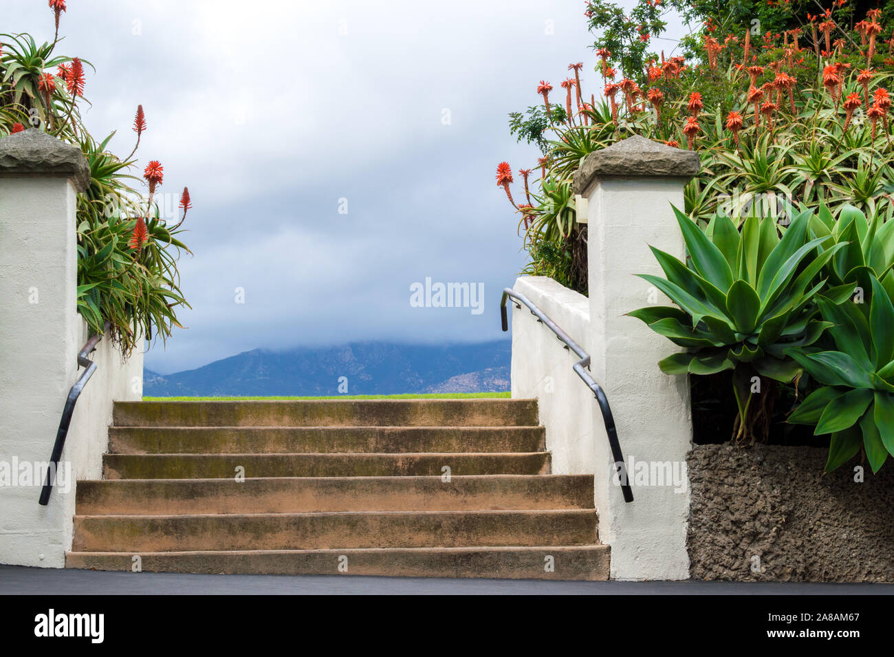 adobe stairs in a lush garden climbing to distant mountains under ...