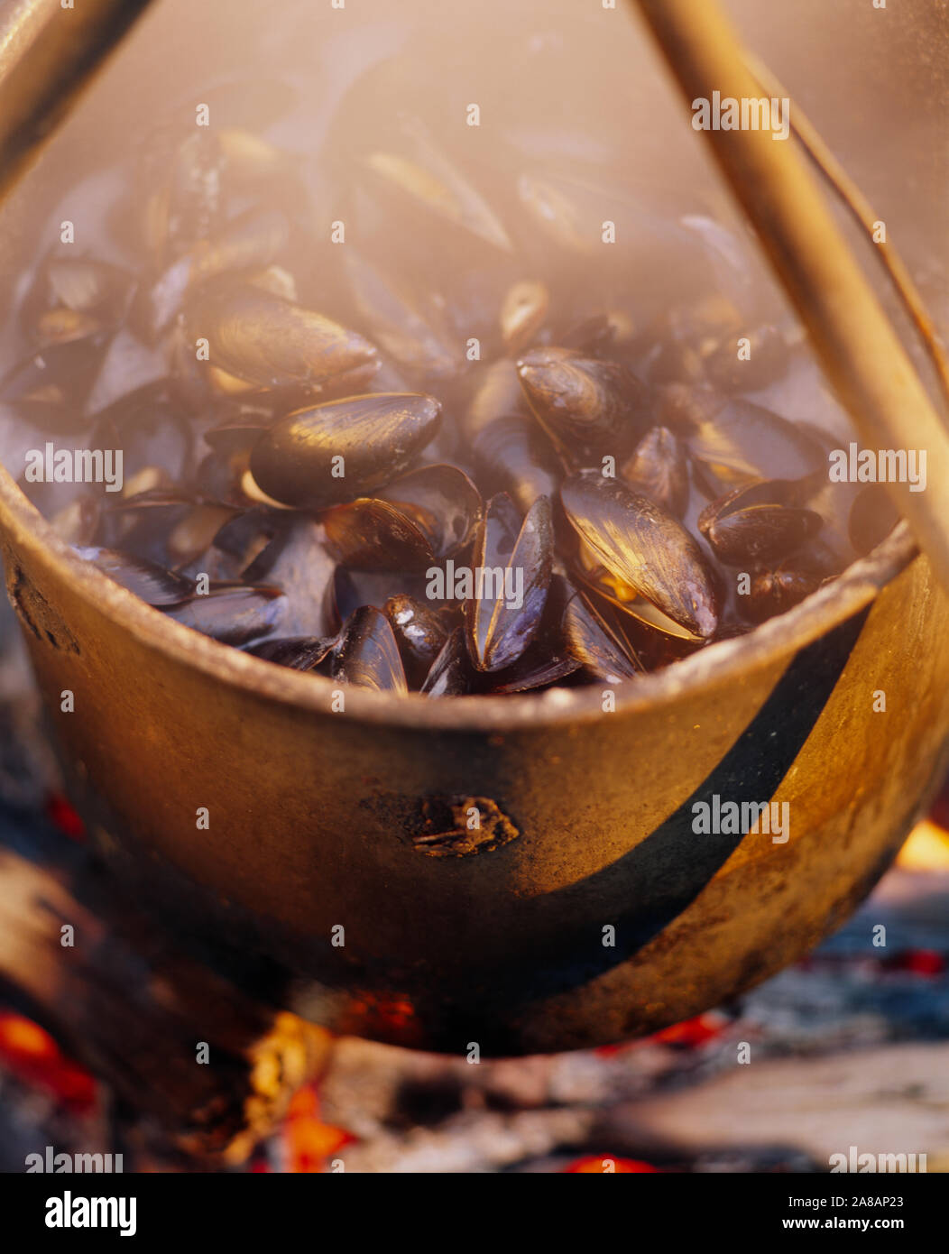 Campfire food mussels hi-res stock photography and images - Alamy
