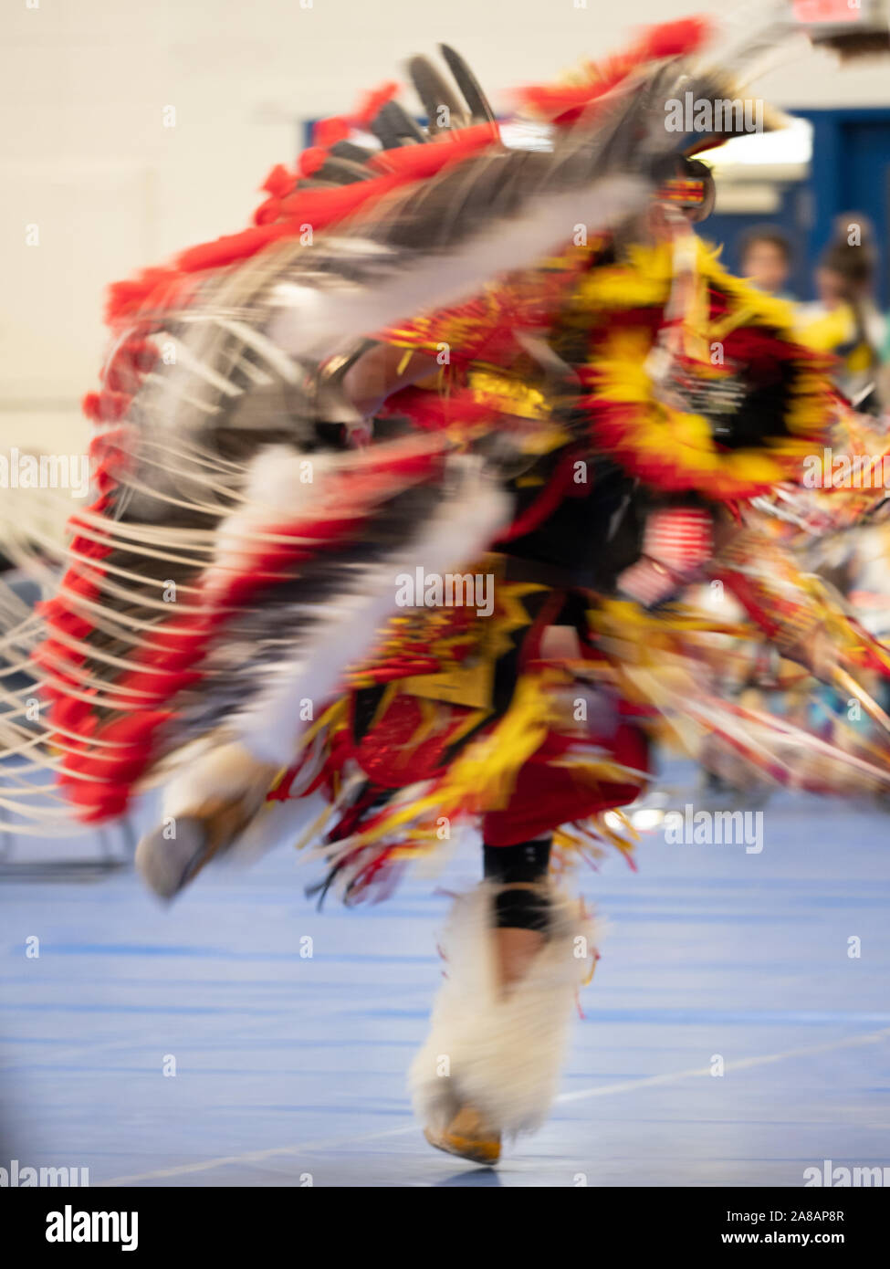 Mocassoms hi-res stock photography and images - Alamy