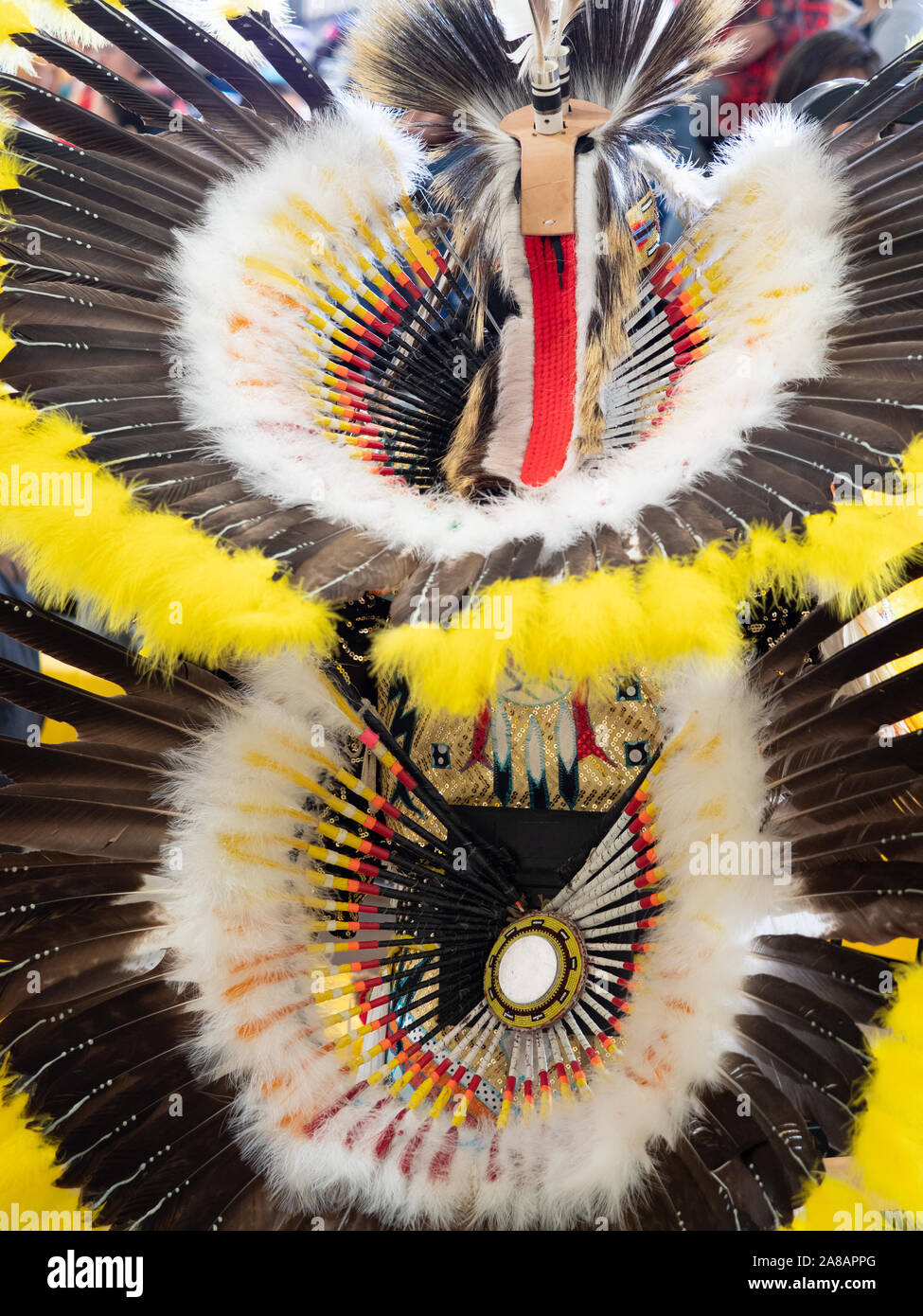 Yellow, brown and white feather headdress and bustle worn by a Native ...