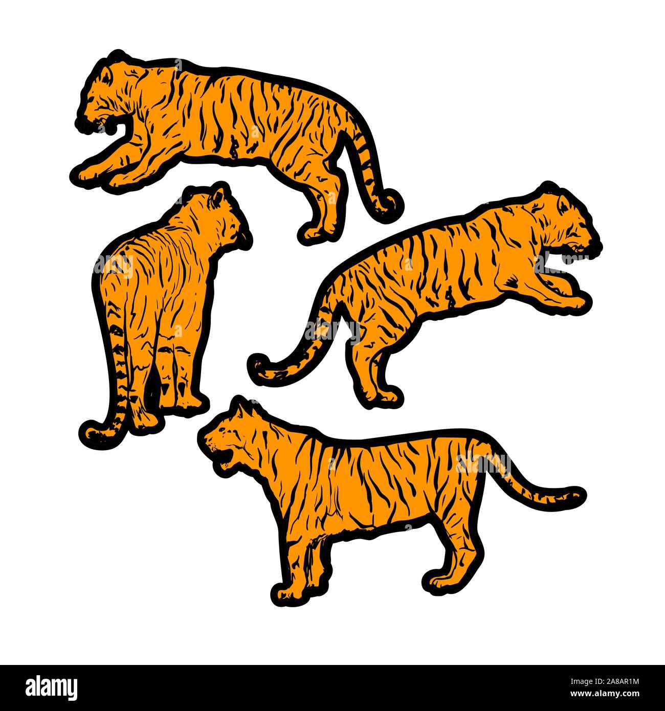 tigers wild cat vector set. Orange Bengal Tiger Animals Icons for Print ...