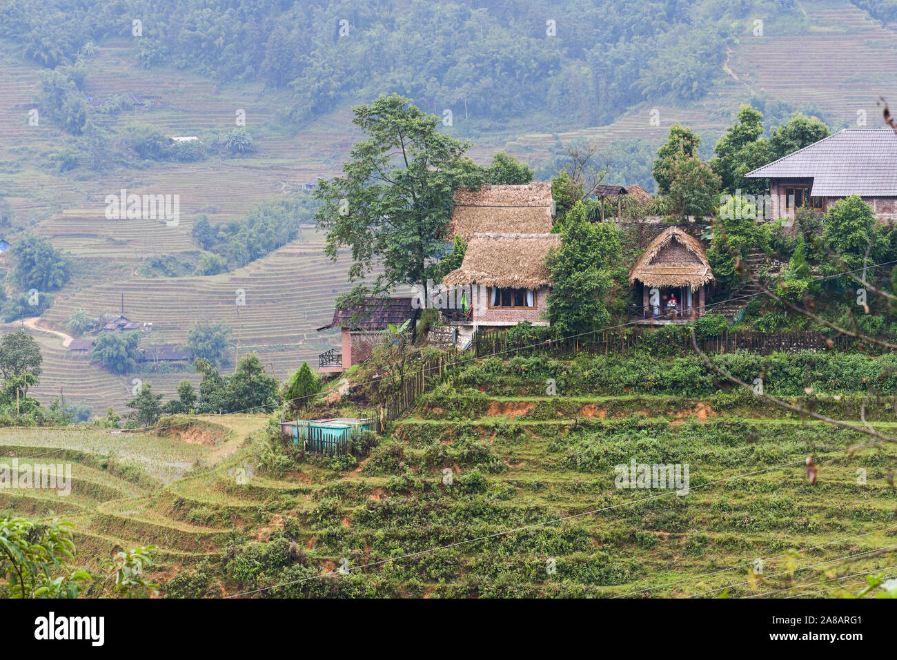 Houses and homes on top of Rice terraces outside the beautiful village ...