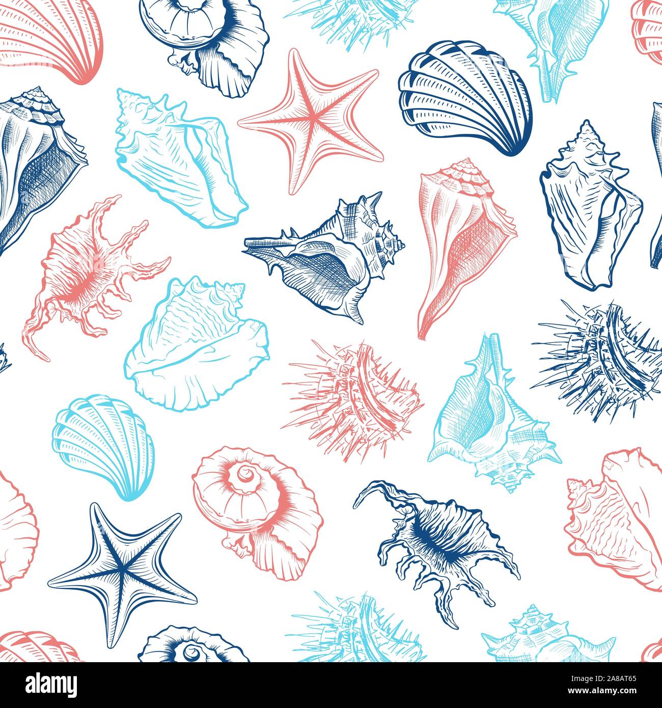 Seashells and starfish vector seamless pattern. Marine life creatures ...