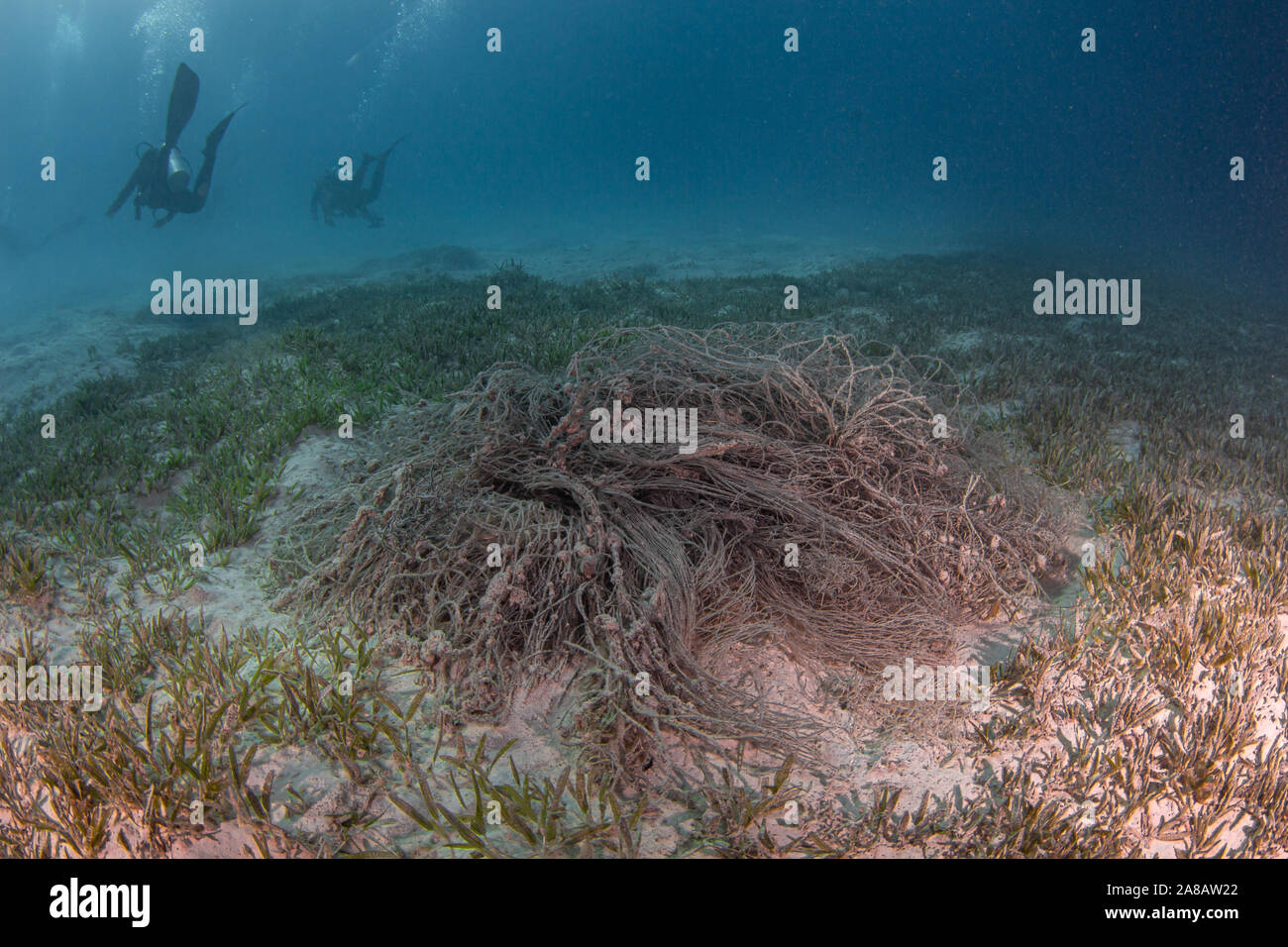 Ghost net sea fish hi-res stock photography and images - Alamy