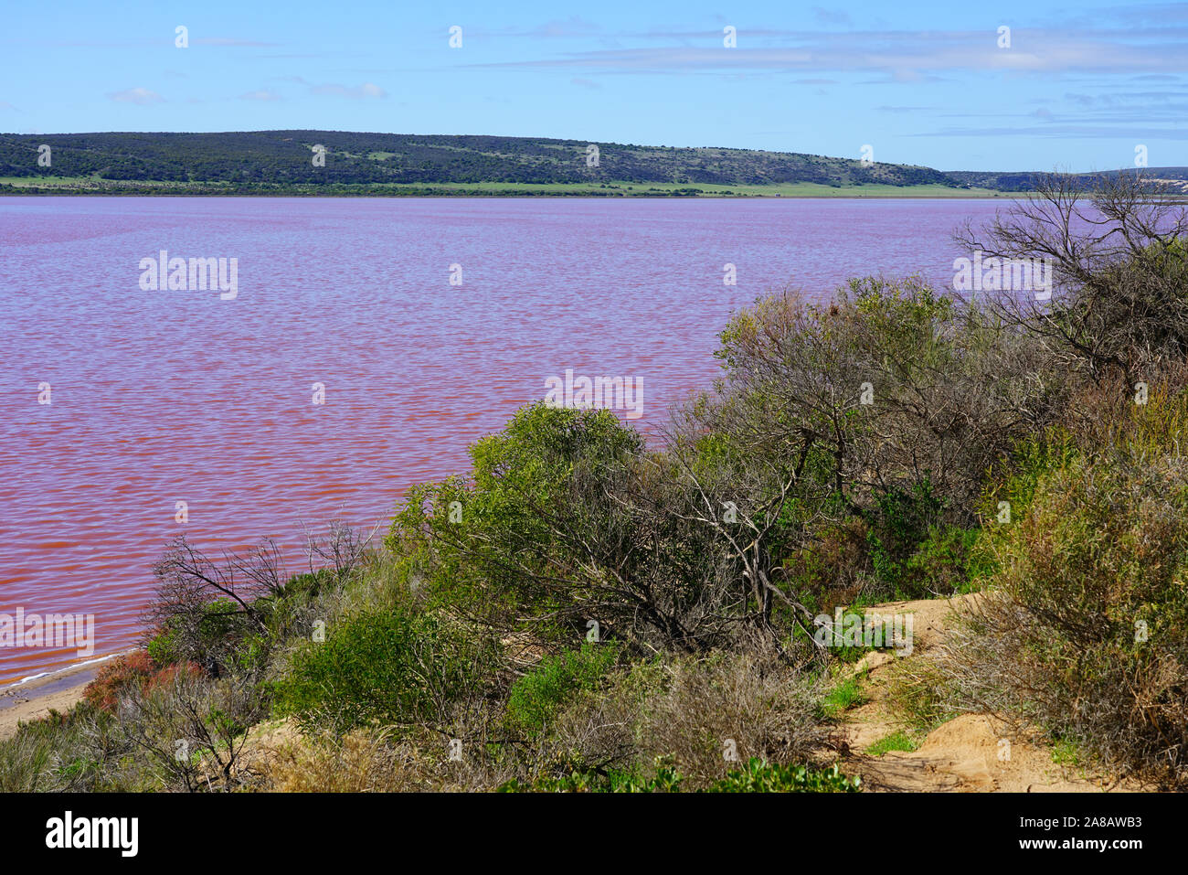 The pink lagoon at port gregory hi-res stock photography and images - Alamy