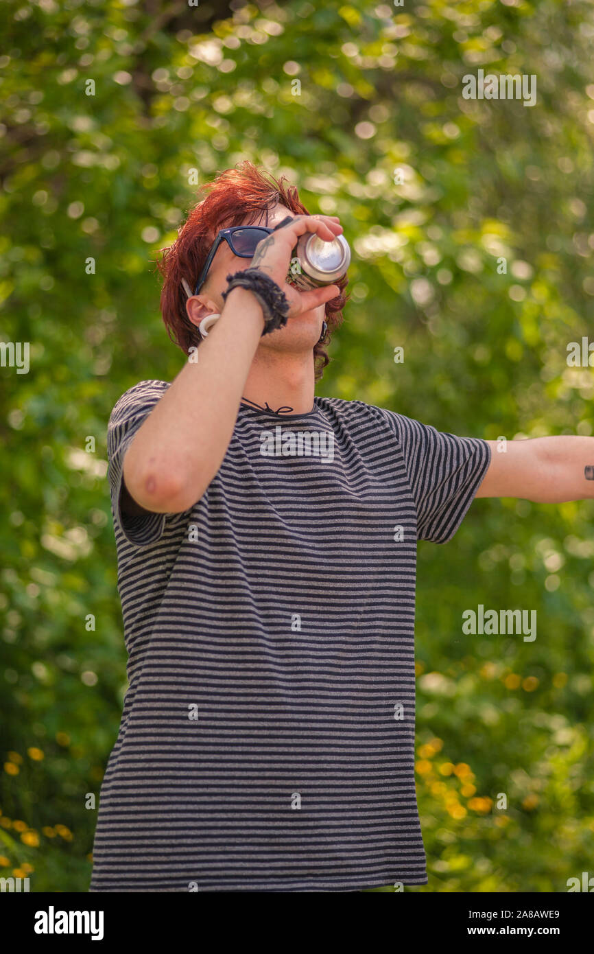 Punk Cat High Resolution Stock Photography and Images - Alamy