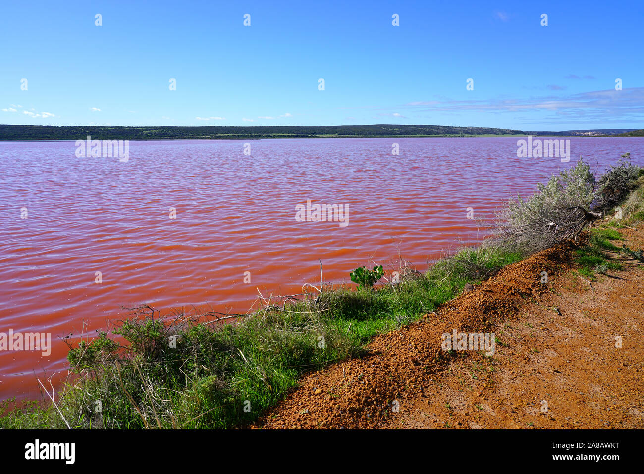 Day view of the Pink Lake near Port Gregory on the Coral Coast in ...