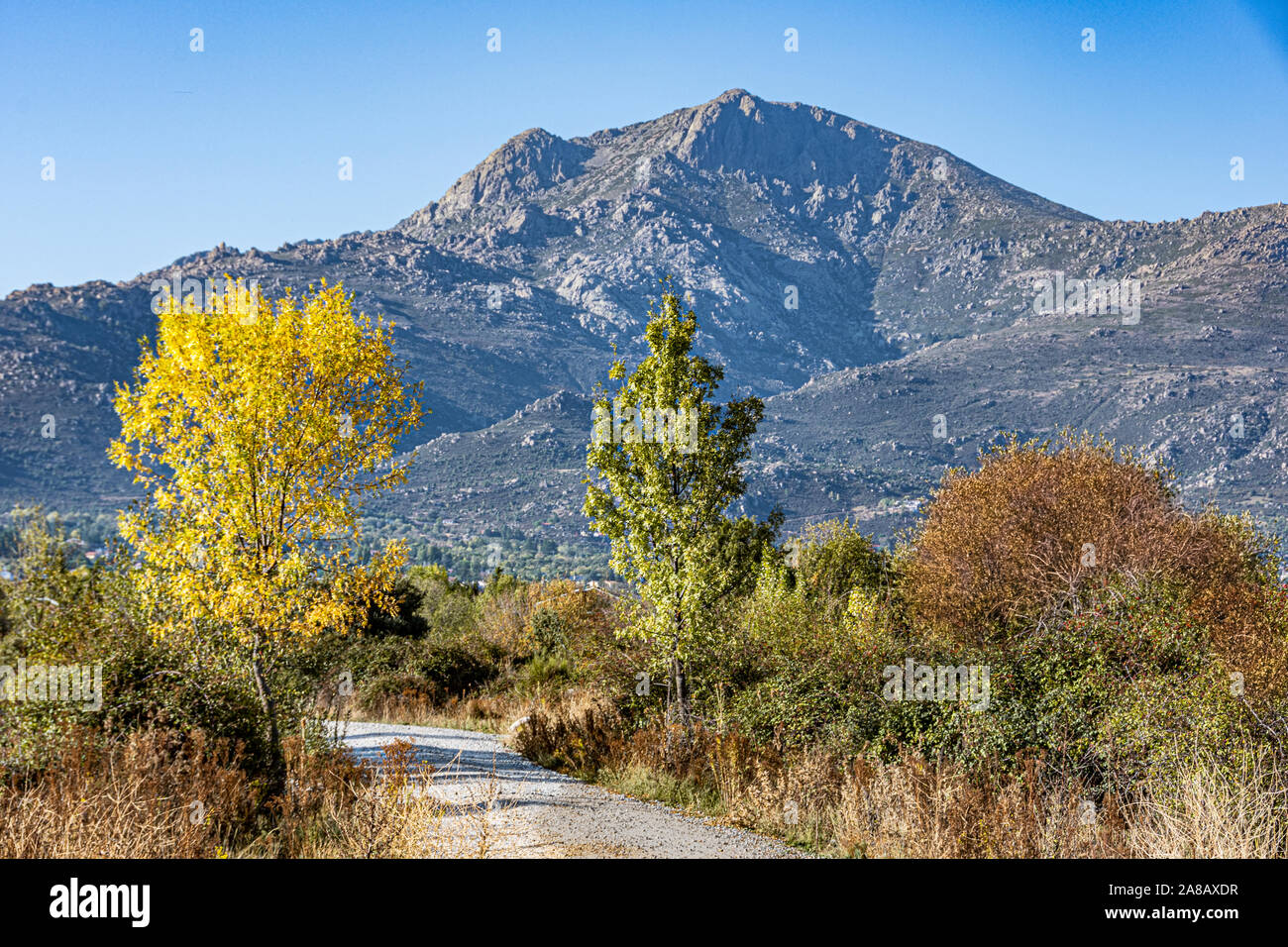Trees with fall foliage in the Sierra de Guadarrama. madrid Spain Stock ...