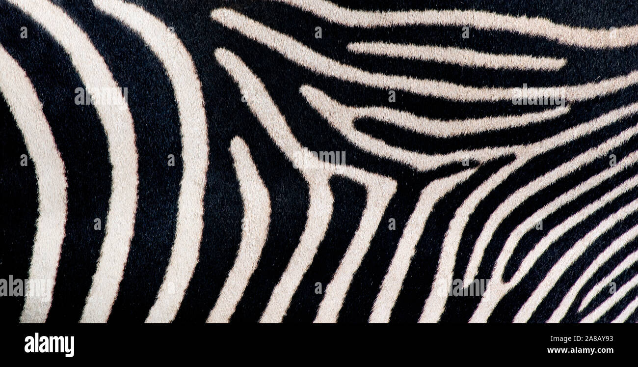 Horizontal black stripes hi-res stock photography and images - Alamy