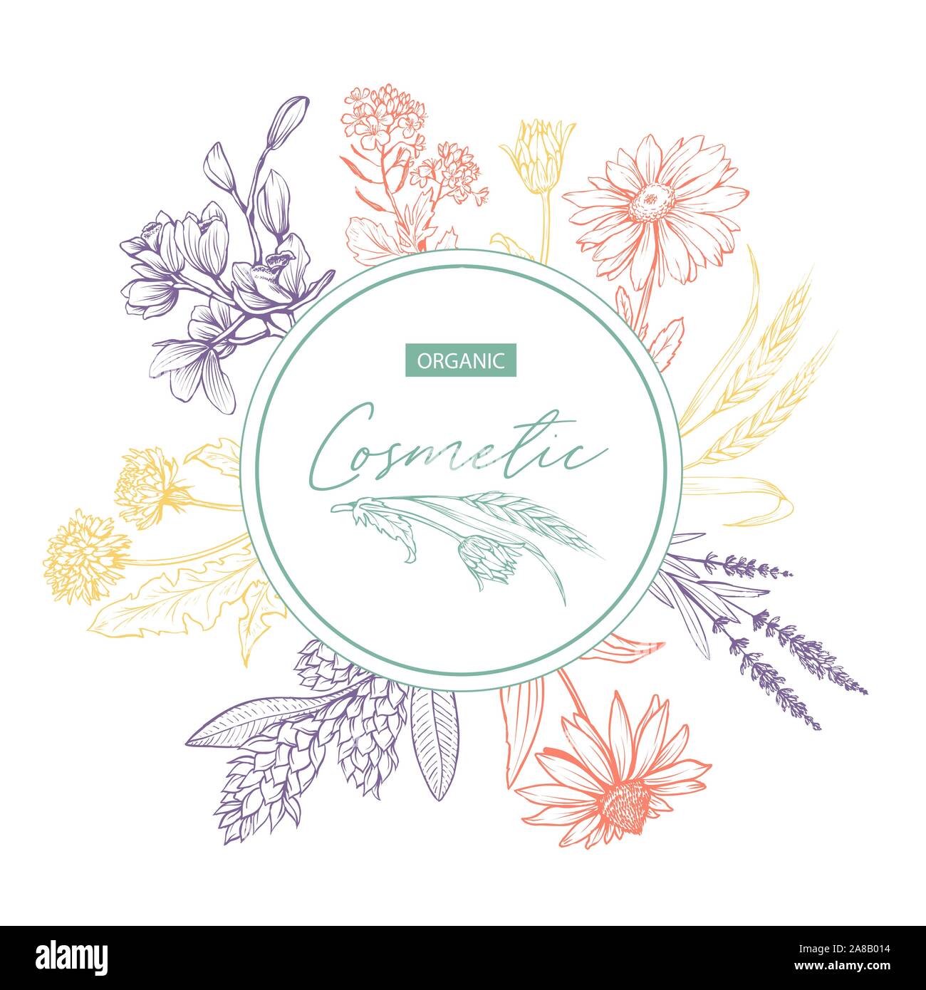 Herbal cosmetics hand drawn vector sticker. Round frame with color wild ...
