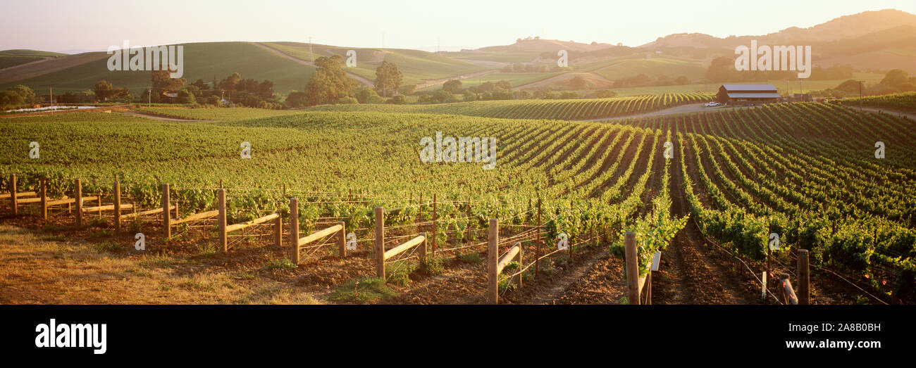 Carneros district hi-res stock photography and images - Alamy