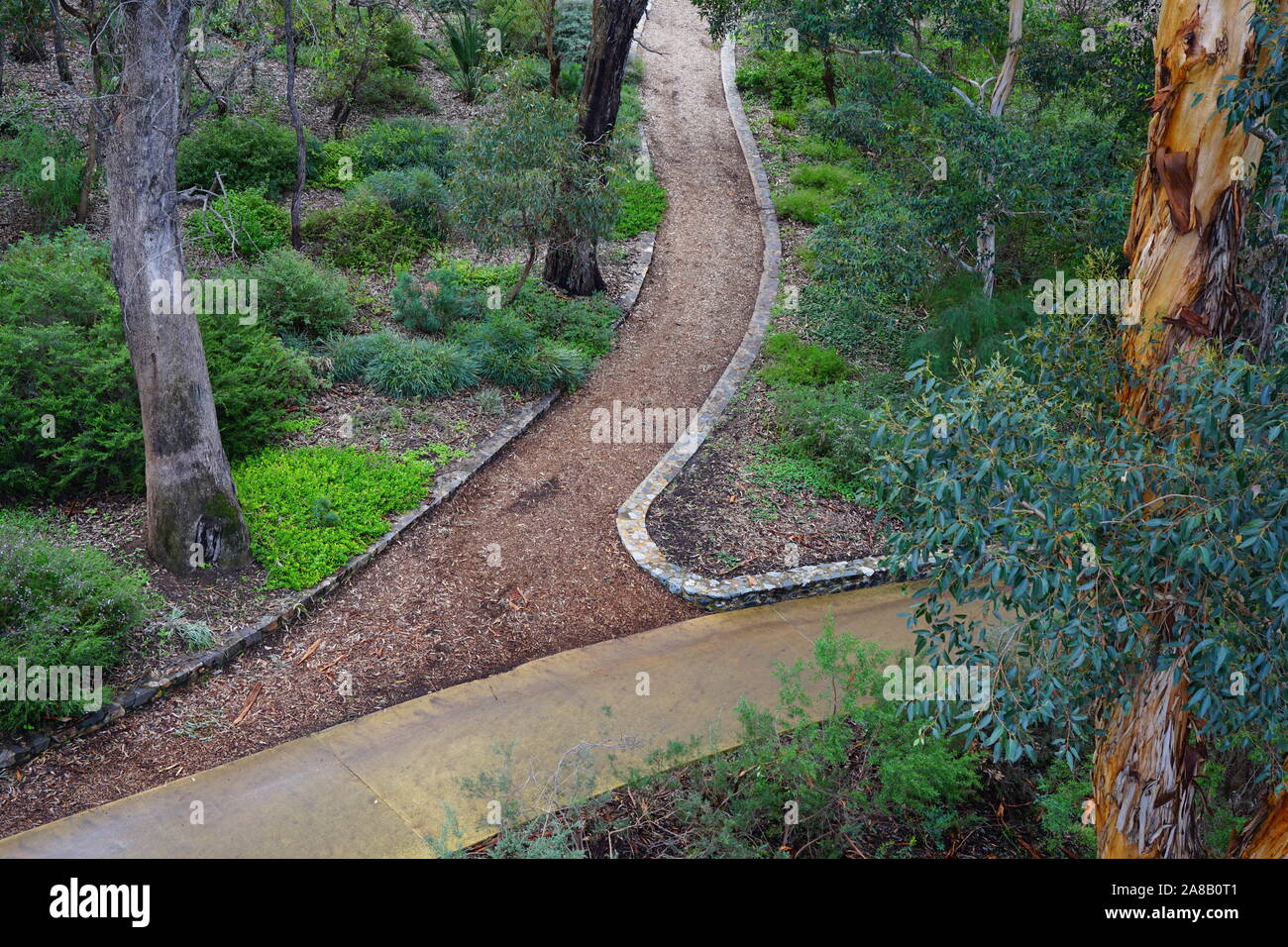Kings park federation walkway perth hi-res stock photography and images ...