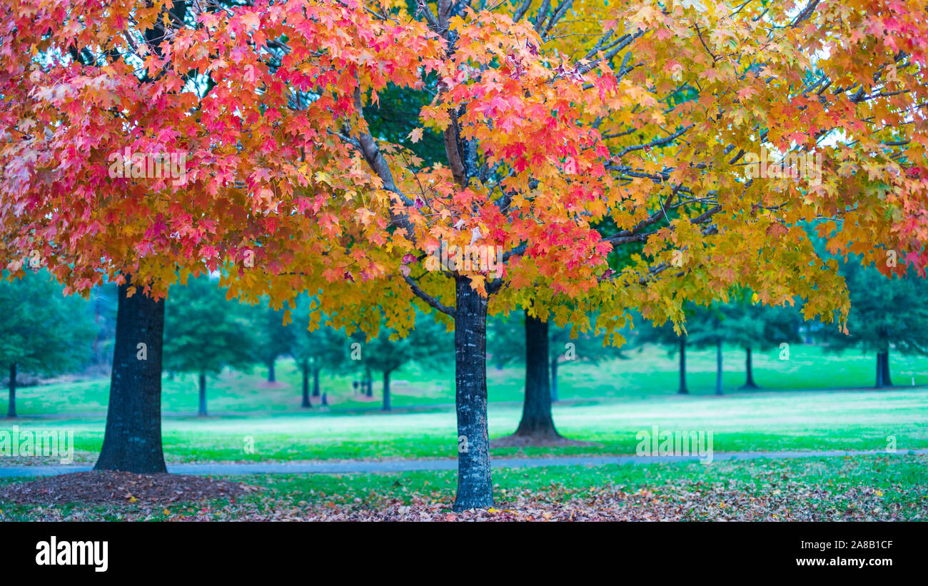 Fall Colors around Carolinas Stock Photo - Alamy