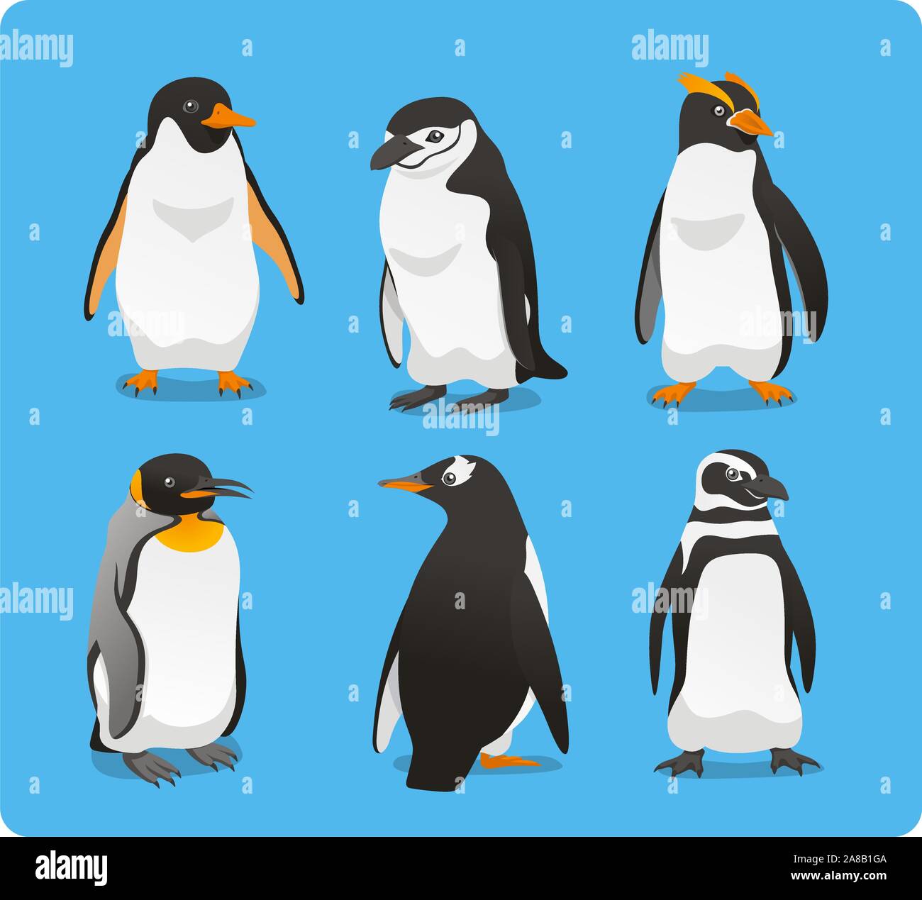 Standing Penguin Set Vector Illustration Stock Vector Image & Art - Alamy