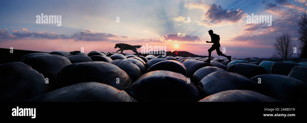 Side profile of a person running behind a dog Stock Photo - Alamy