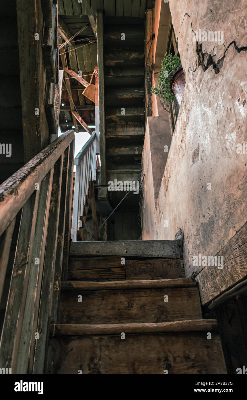 Slum flower hi-res stock photography and images - Alamy