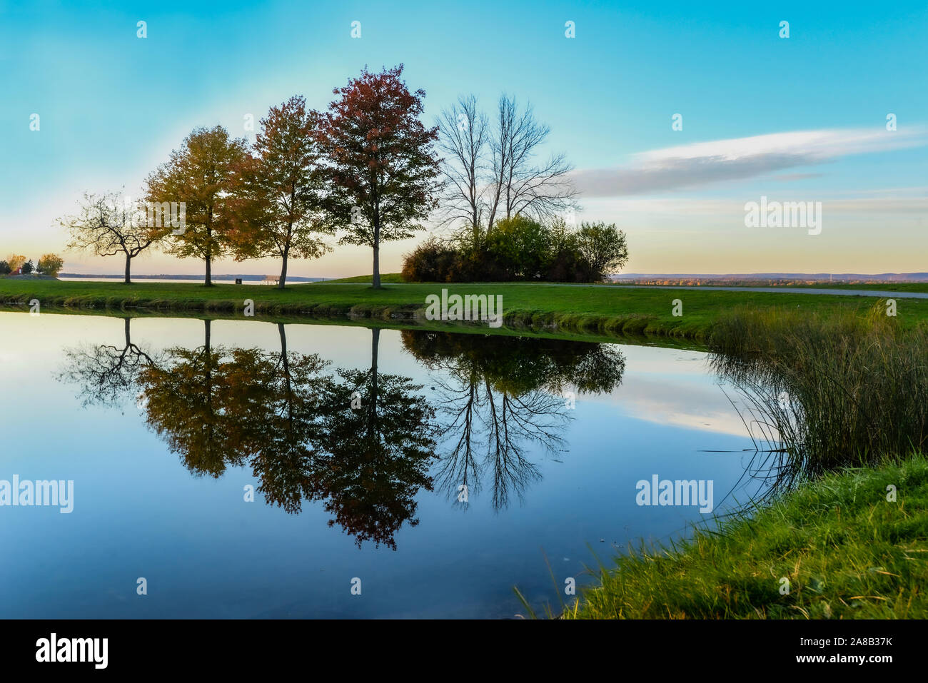 reflection and trees Stock Photo - Alamy