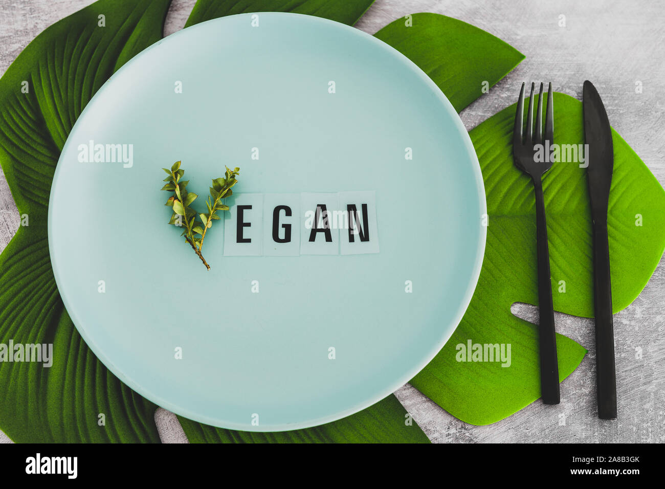 Vegan text with V made from small branches with leaves on plate with ...
