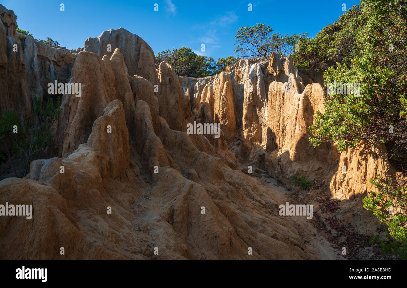 Fort Ord National Monument, California Stock Photo - Alamy
