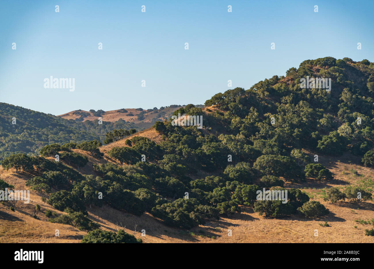 Fort Ord National Monument, California Stock Photo - Alamy