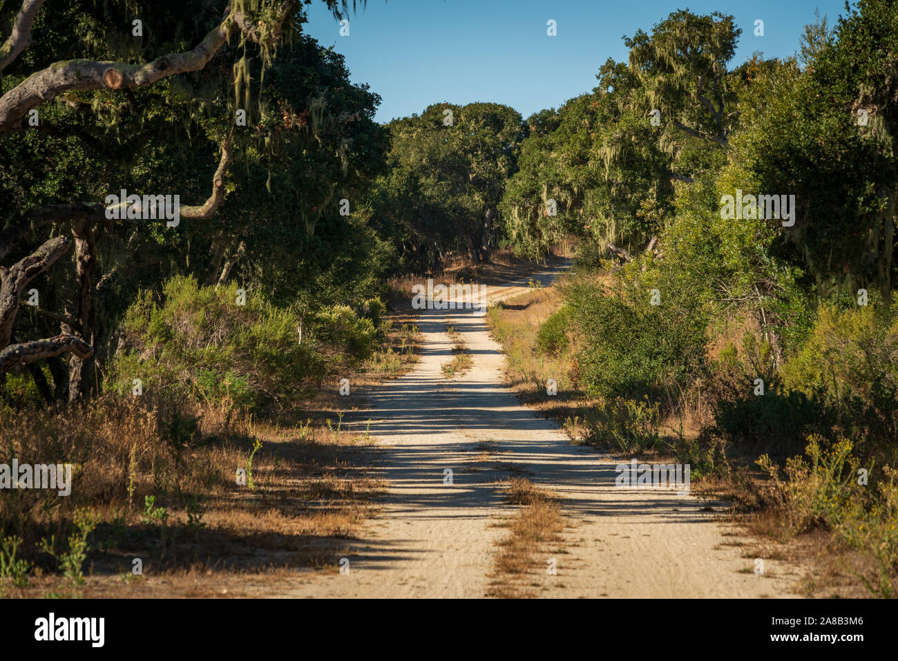 Fort Ord National Monument, California Stock Photo - Alamy