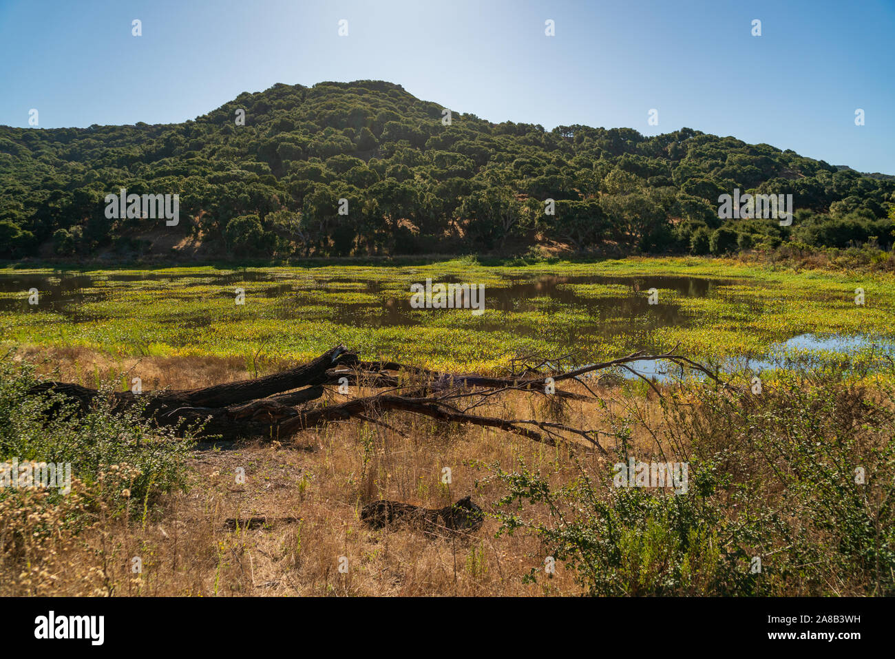 Fort Ord National Monument, California Stock Photo - Alamy