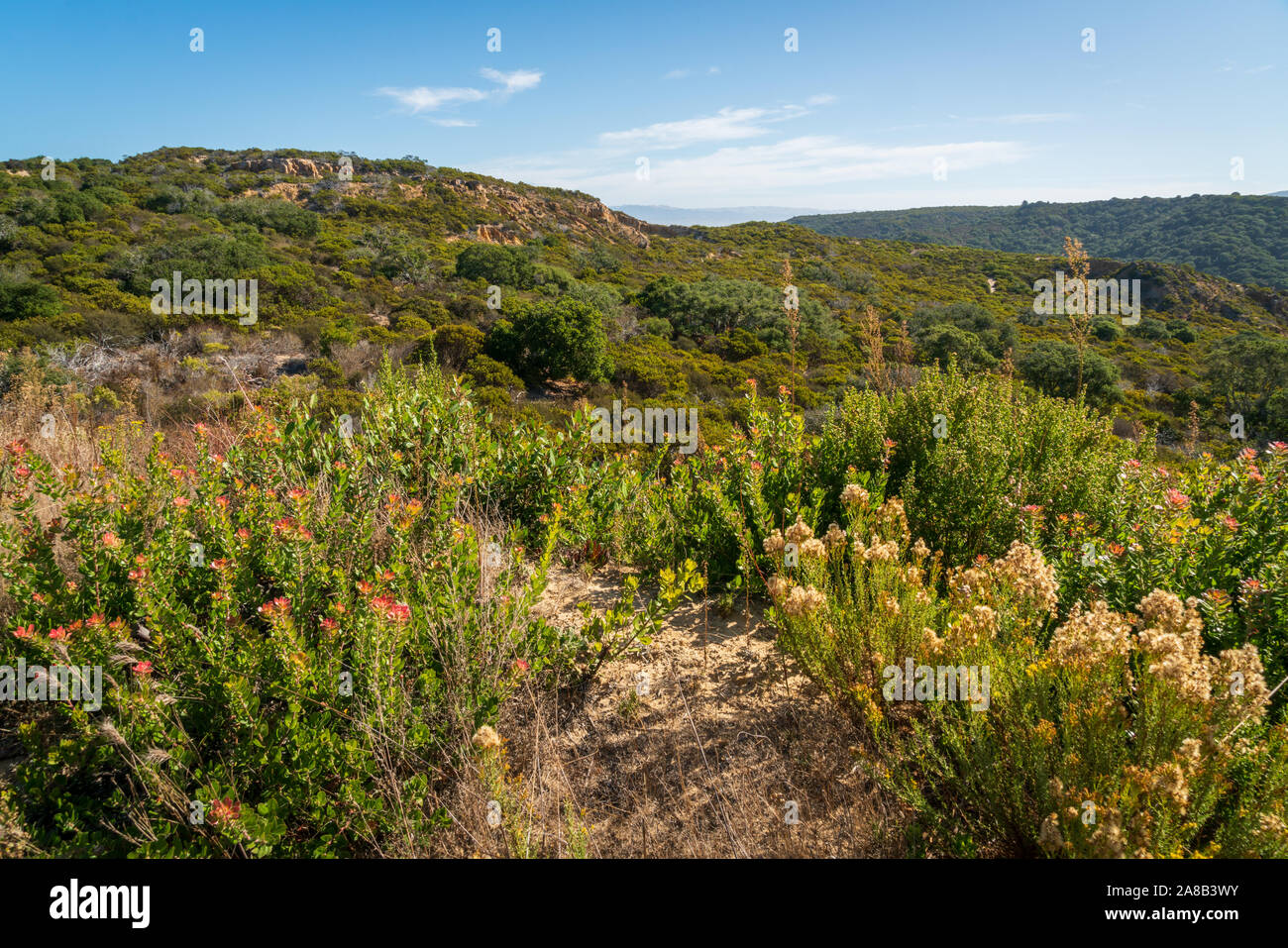 Fort Ord National Monument, California Stock Photo - Alamy