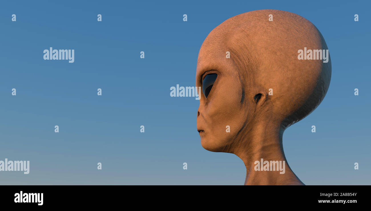 Grey Alien extremely detailed and realistic high resolution 3d imageof ...