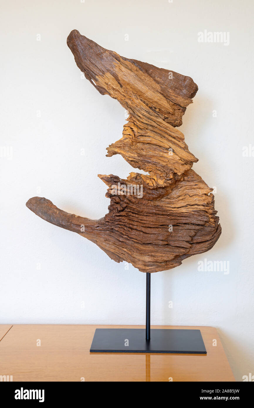The modern wood decorative oak sculpture Stock Photo - Alamy