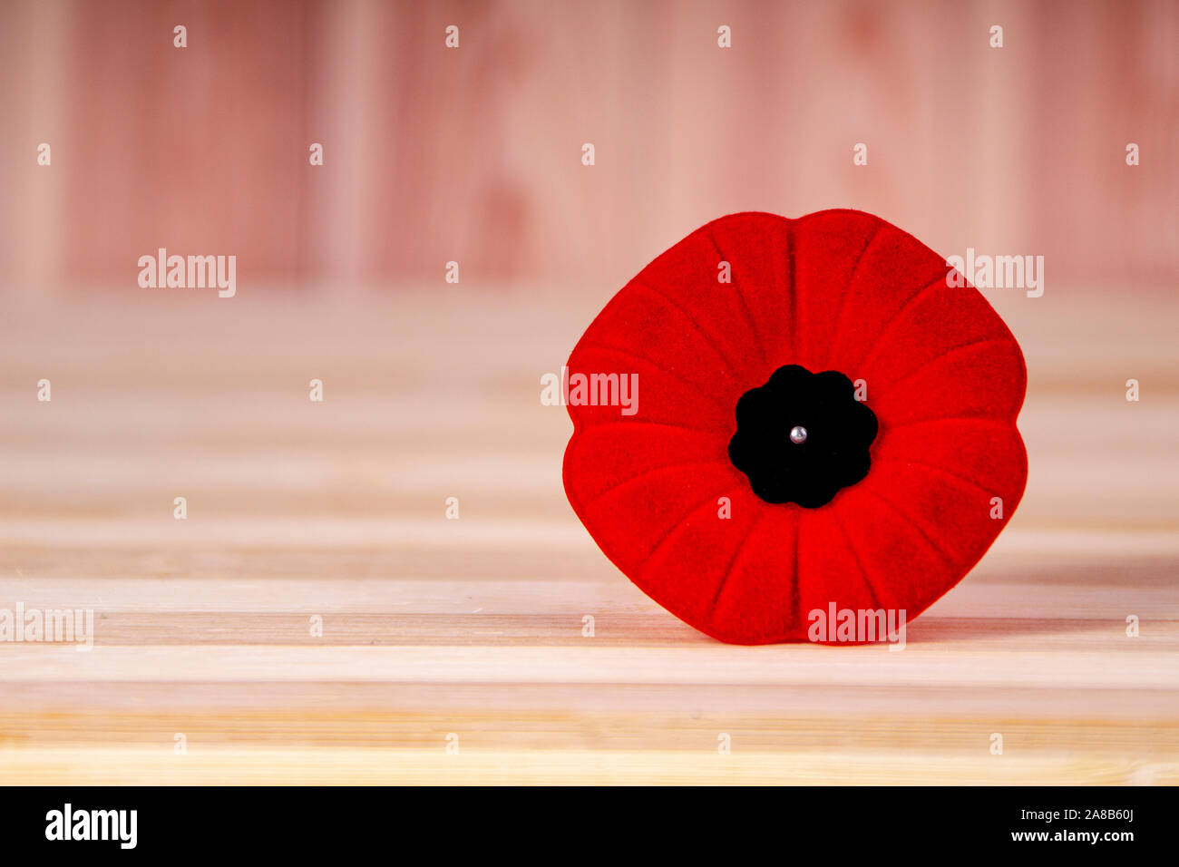 Remembrance Day Poppy Flower with a wooden Background Stock Photo - Alamy