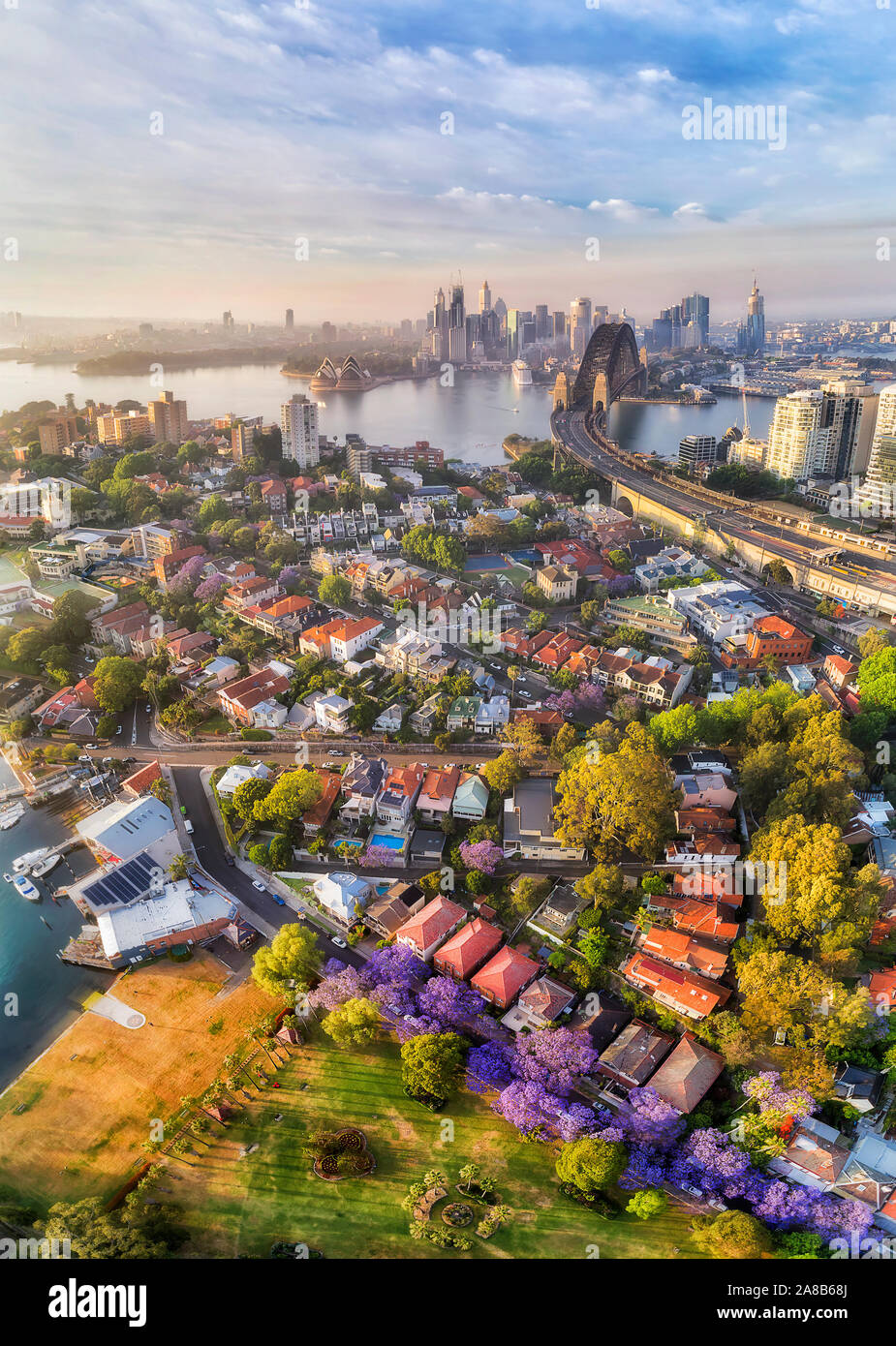 Jacaranda street sydney hi-res stock photography and images - Alamy