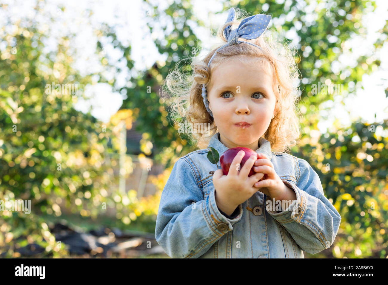 Cute little girl child eating ripe organic red apple in the Apple ...