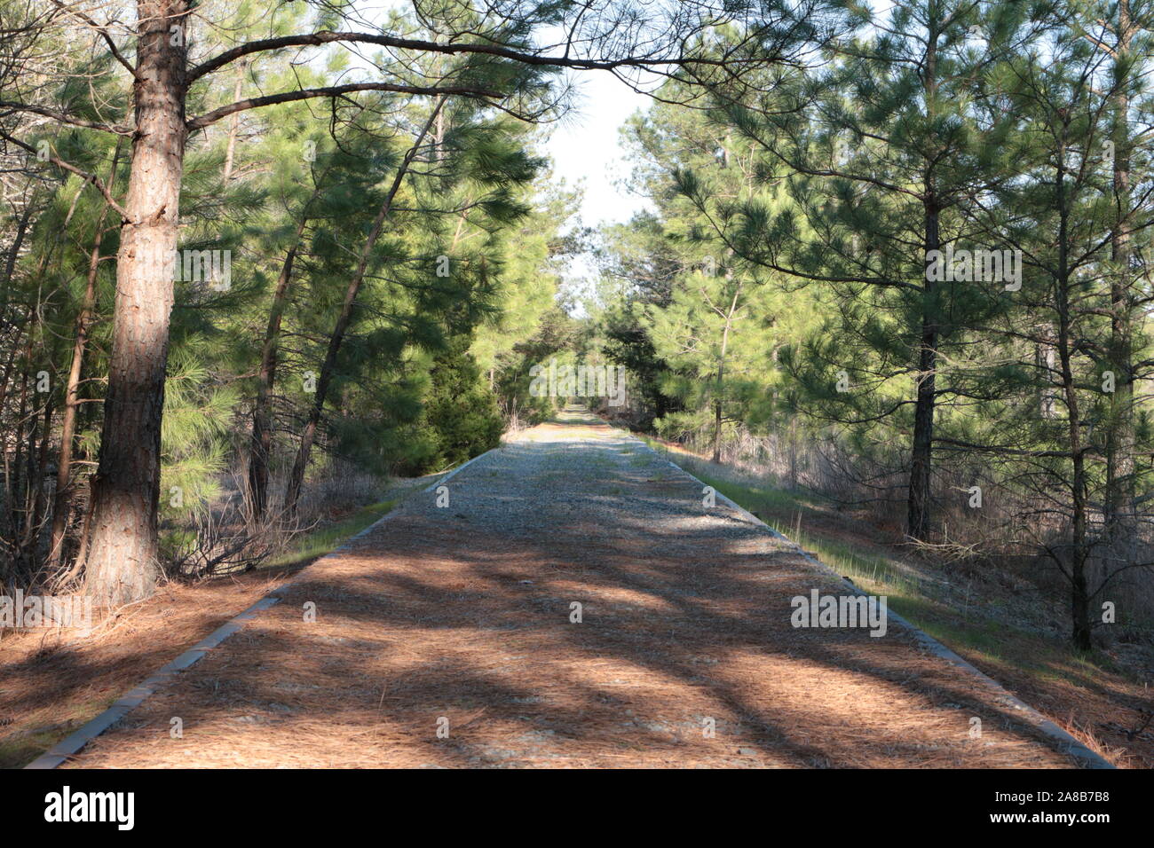 Abandoned railroad hi-res stock photography and images - Alamy