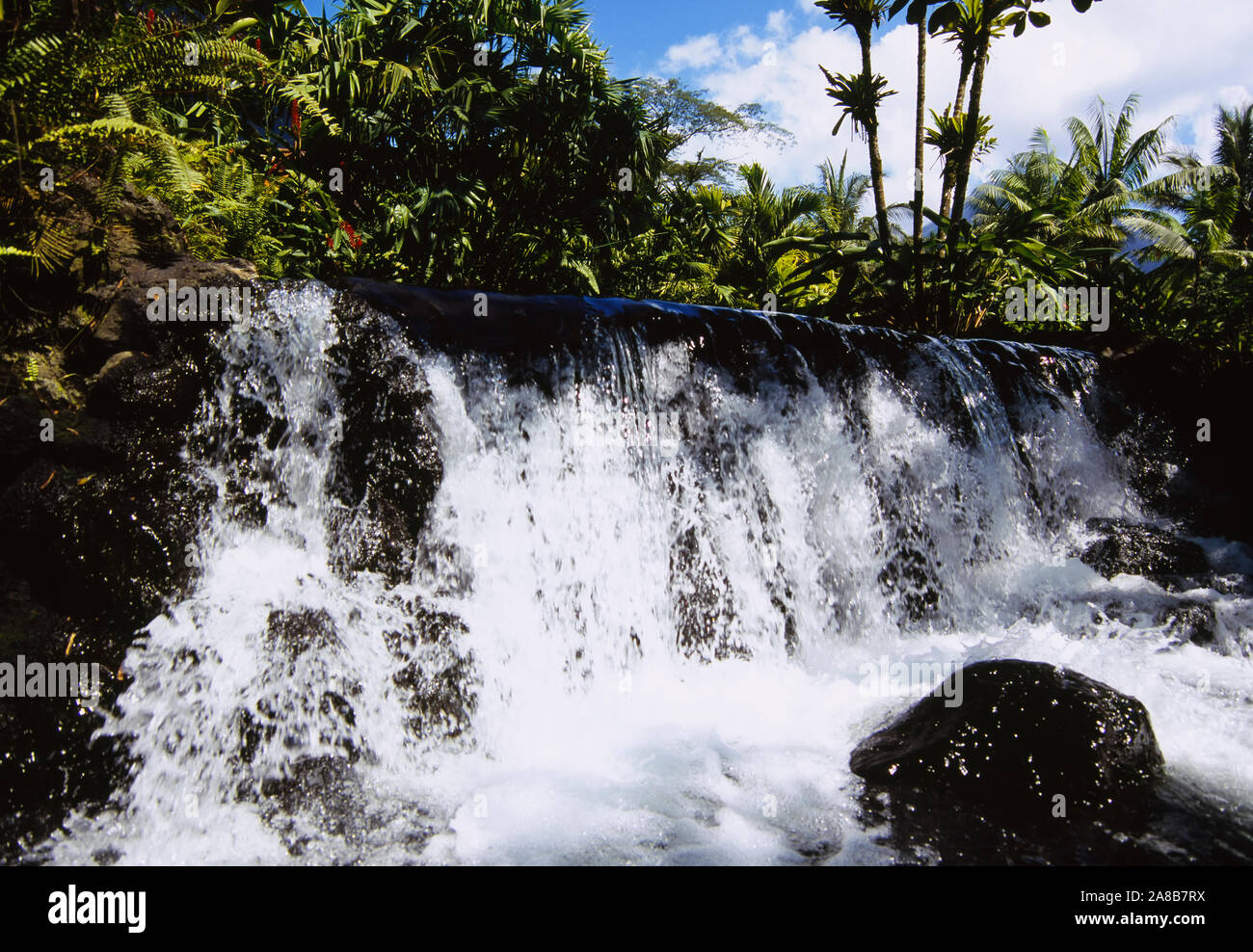 Waterfall in a forest, Tabacon, Costa Rica Stock Photo - Alamy