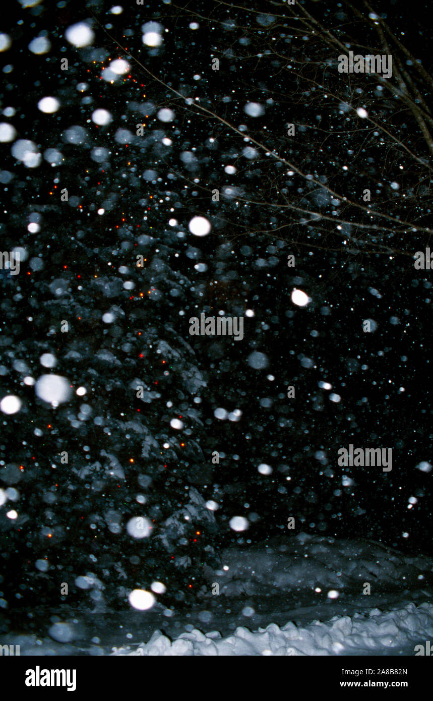 Photograph of snowfall in winter at night Stock Photo - Alamy