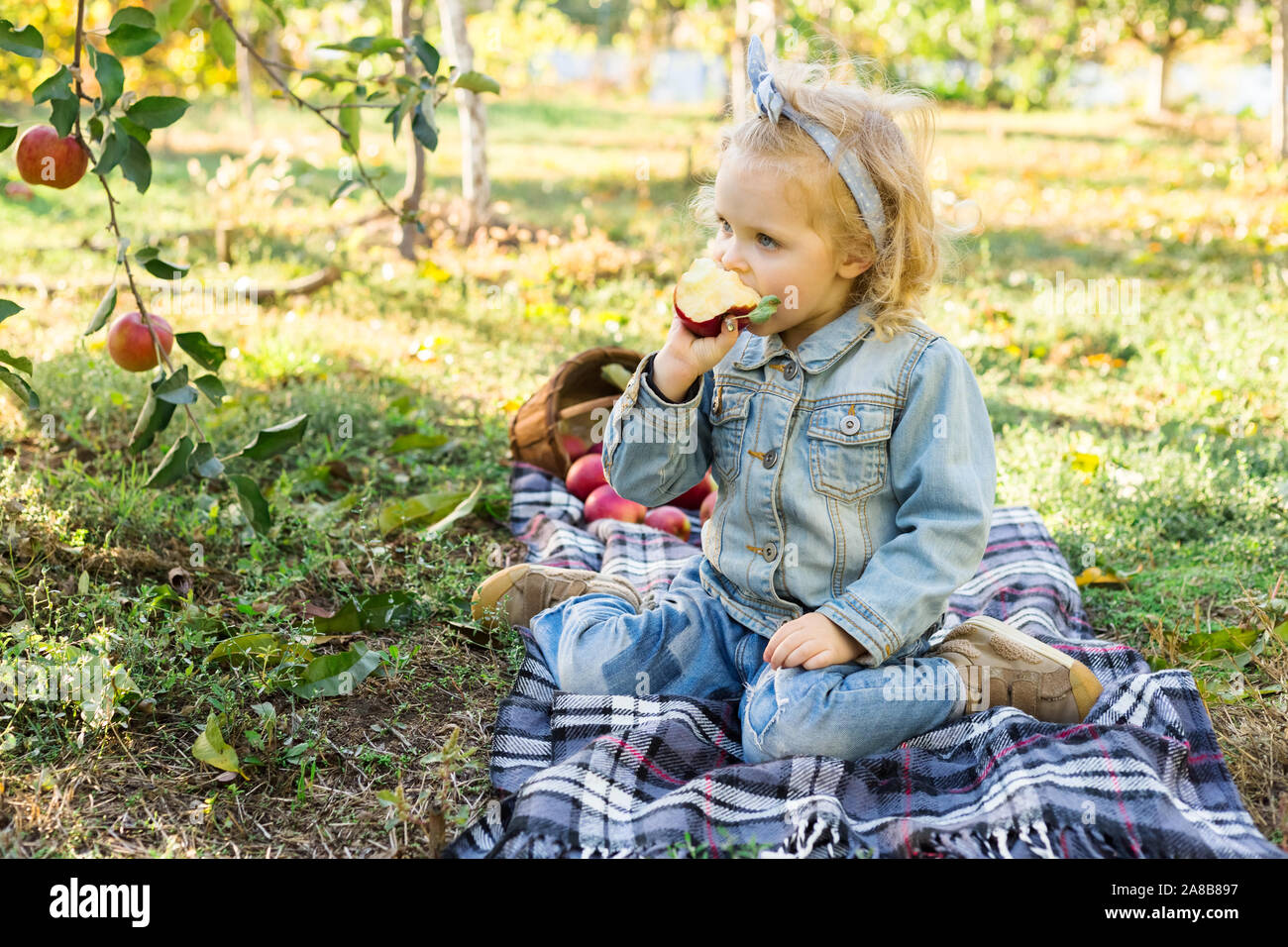 Girl in an apple orchard hi-res stock photography and images - Alamy