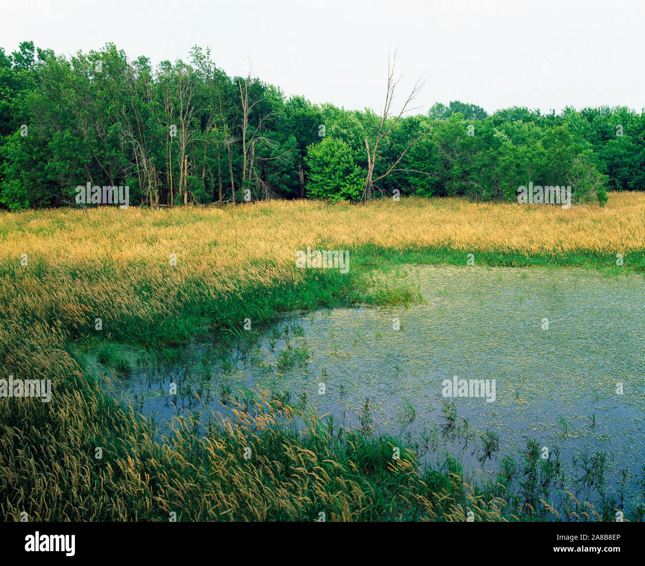 Around potholes hi-res stock photography and images - Alamy