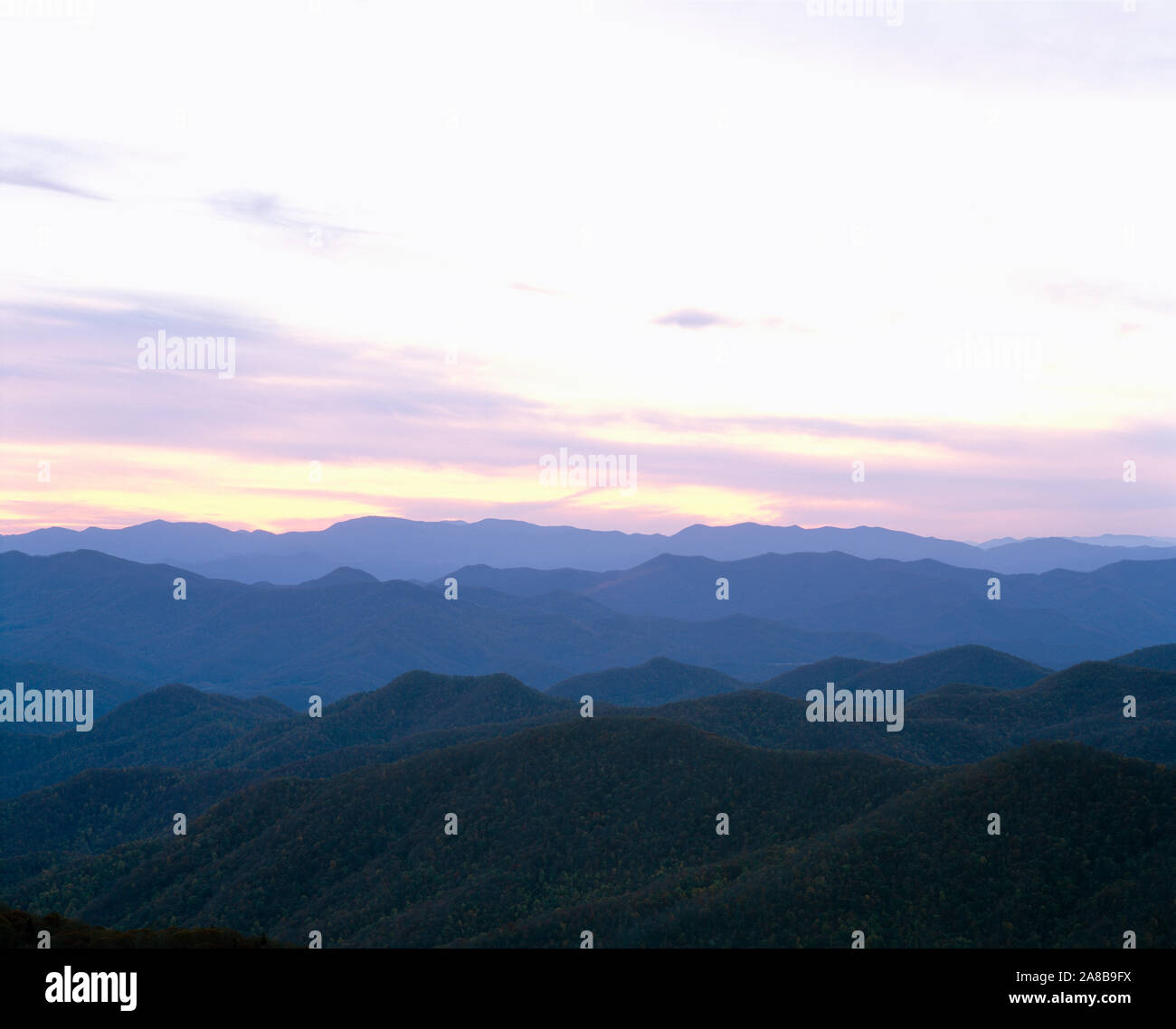 Swain silhouette hi-res stock photography and images - Alamy