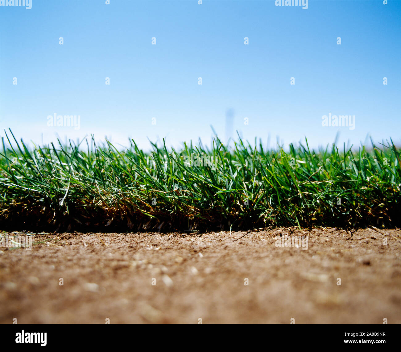 Level field hi-res stock photography and images - Alamy