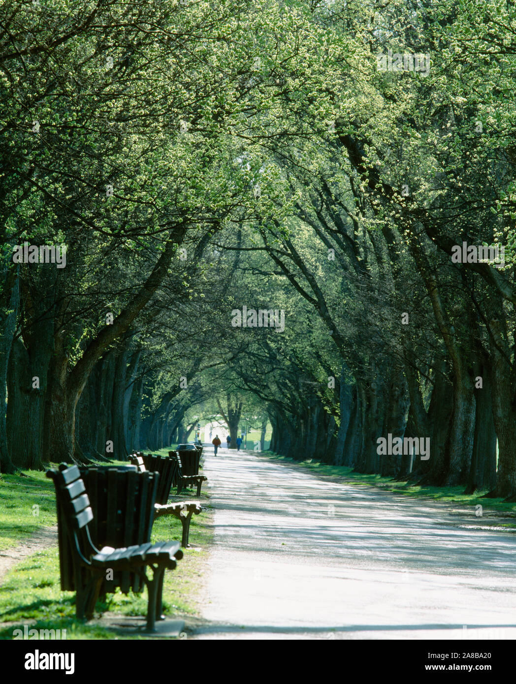 Foorpath hi-res stock photography and images - Alamy